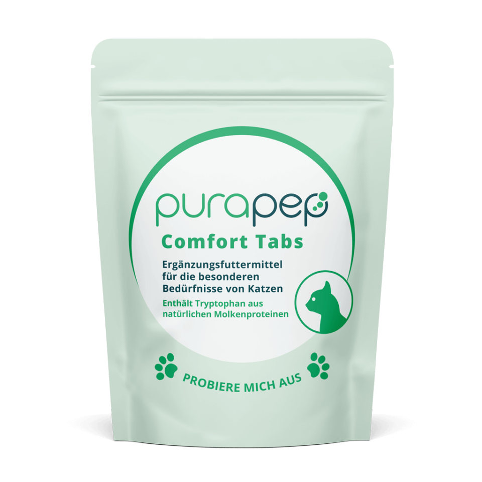 Clickertraining für Katzen – 13 häufige Fragen & Antworten